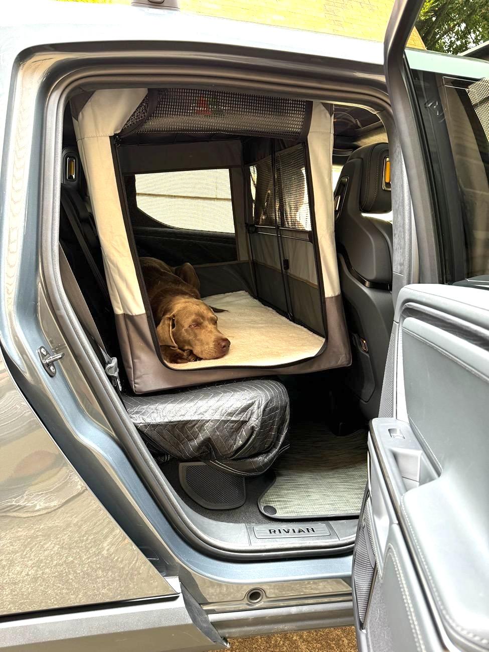 Attention R1T Dog Owners: I May Have Created the Perfect Dog Set-Up for ...