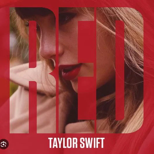 Anyone know what this red bar means , no one near me | Rivian Forum ...