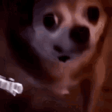 Anyone know what this red bar means , no one near me | Rivian Forum ...