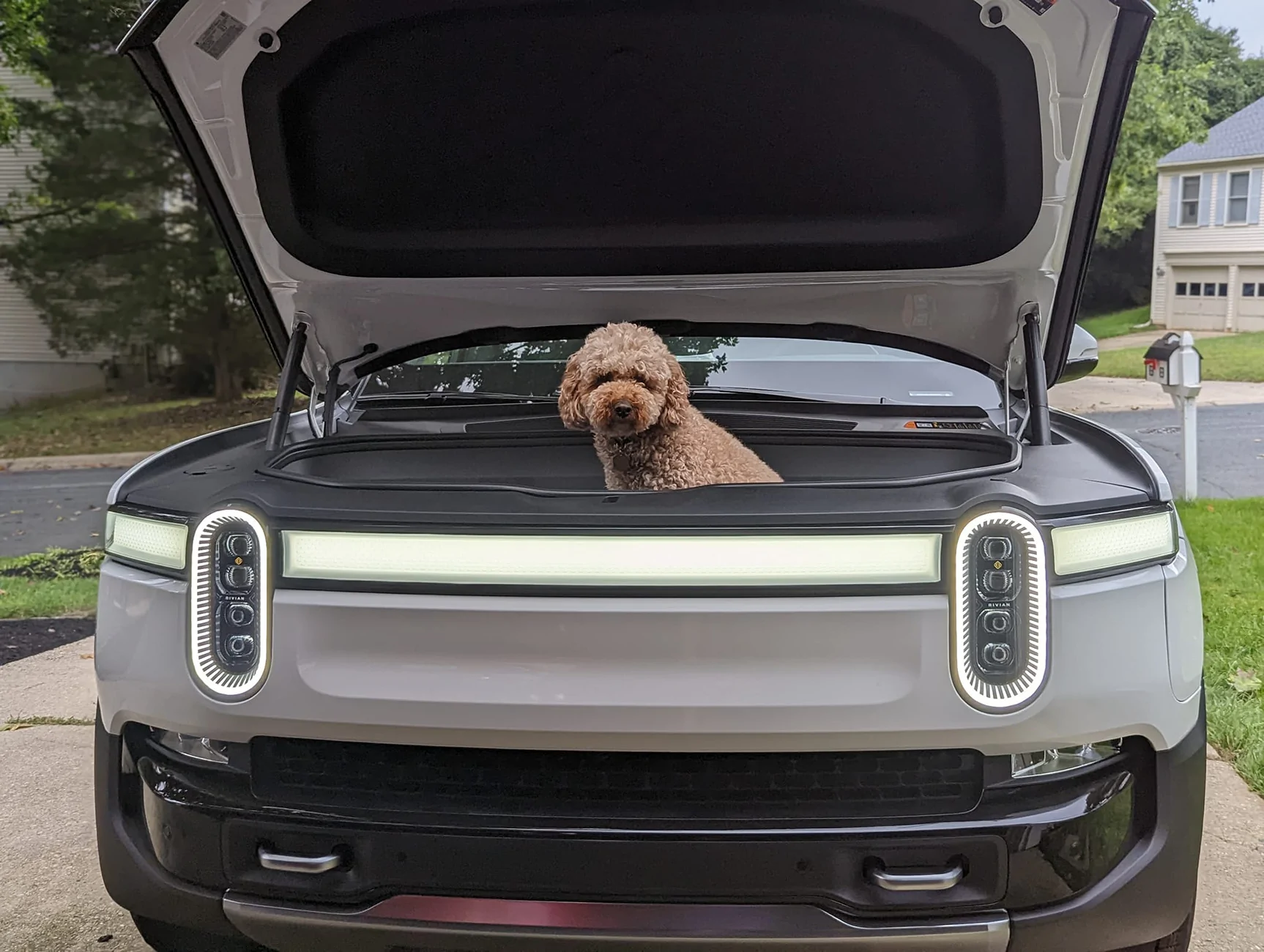 Does Your Pet Ride Up Front, or Claim the Gear Tunnel? 🐾 | Rivian Forum ...