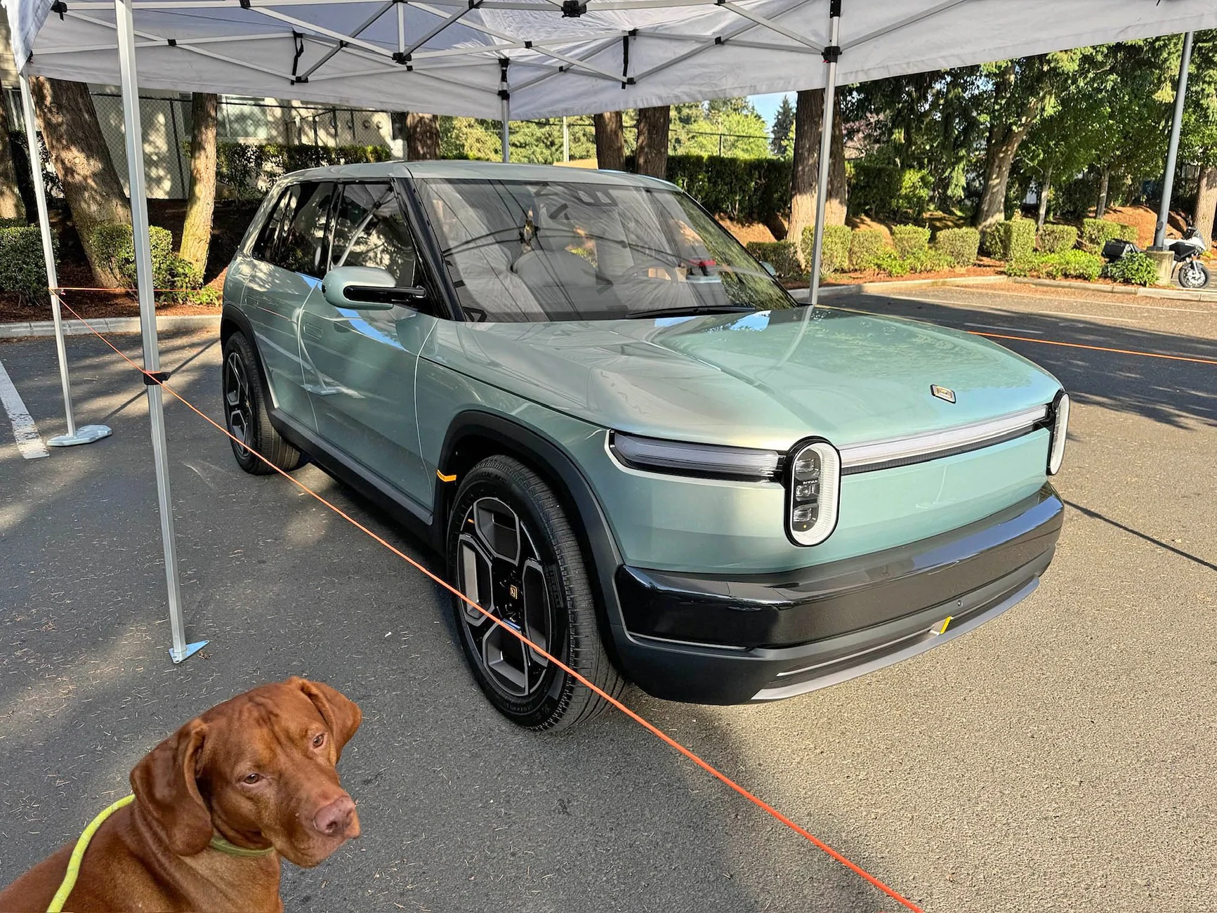 R2 / R3 colors & interior trims: Cloud White, Permafrost, Laguna Beach ...