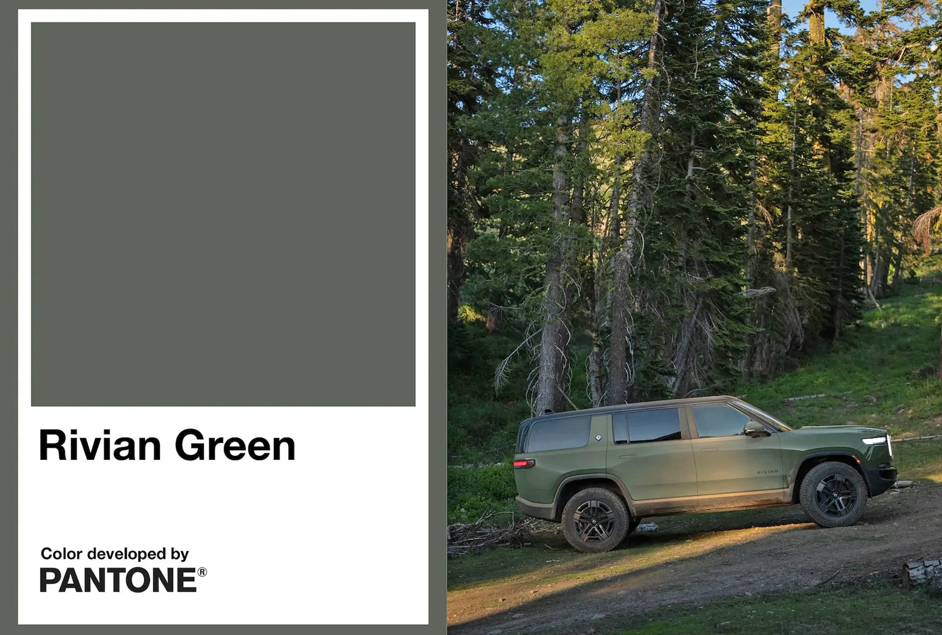 Introducing New RIVIAN GREEN Signature Color! | Rivian Forum - R1T R1S ...