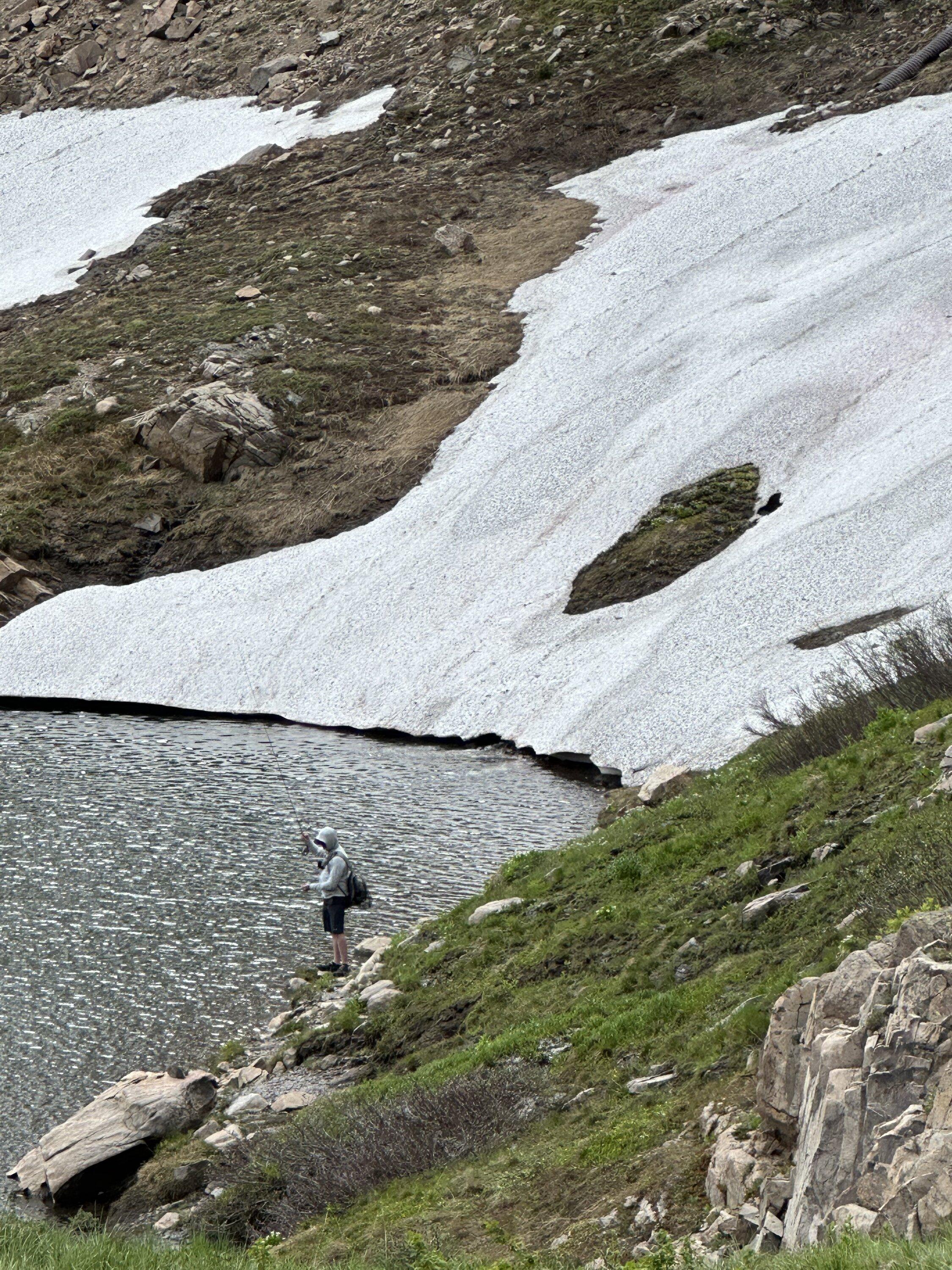 First R1S ascent of Engineer Pass, Colorado? (Elevation 12,800 ft ...