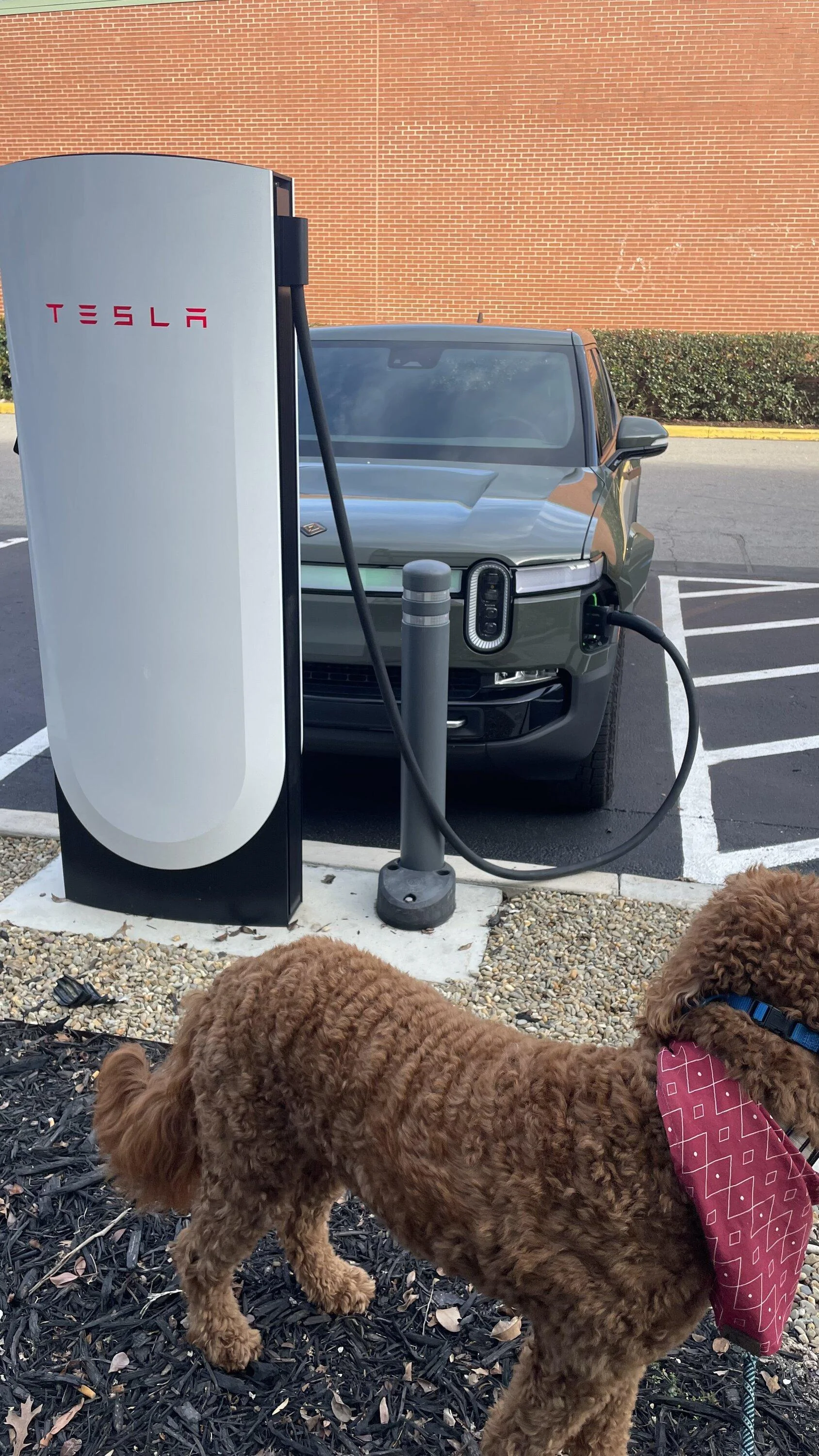 V4 Magic Docks Activated in Atlanta GA, Columbia SC and Prattville AL ...