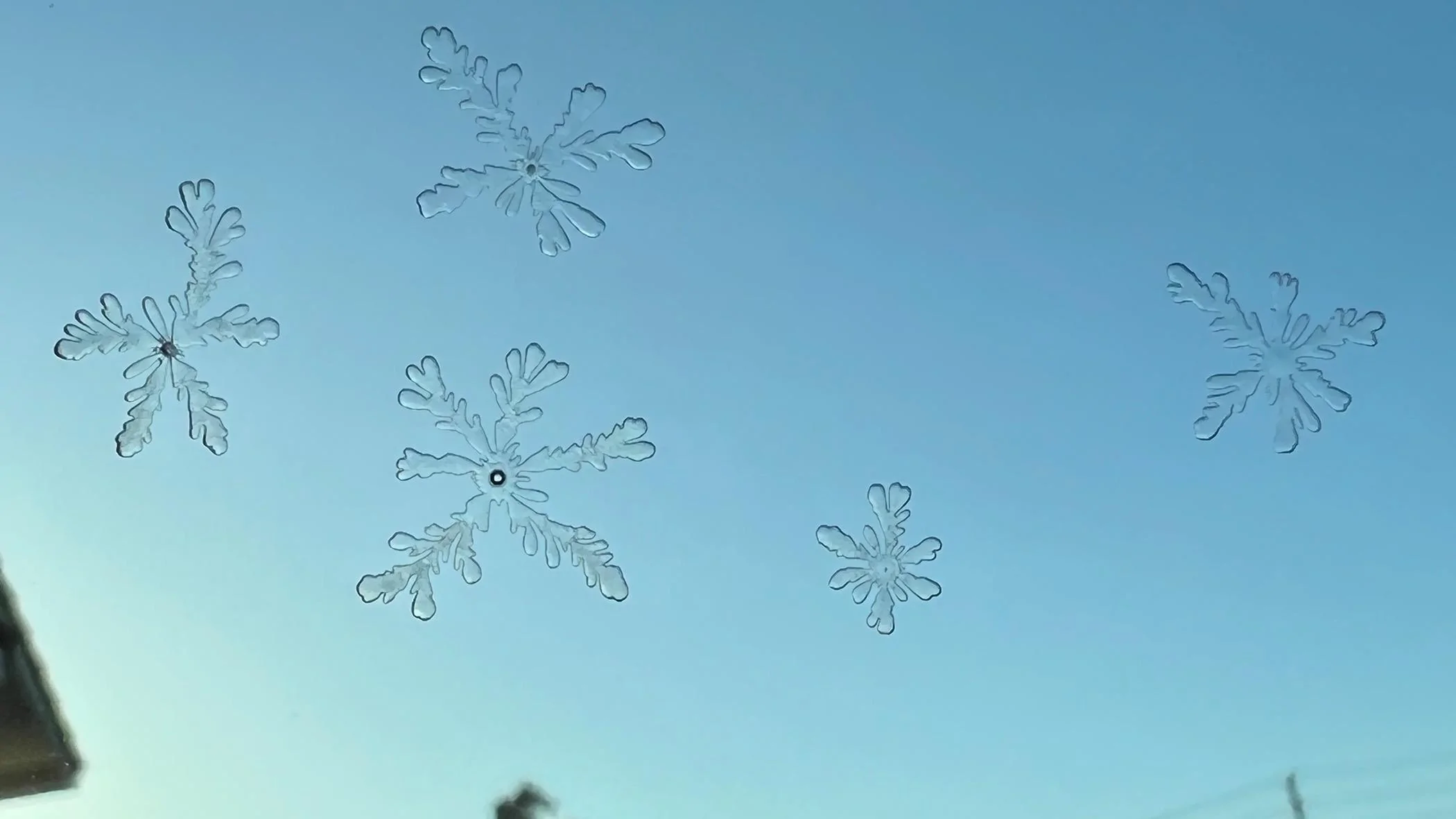 Ice Flower Defect (in glass) | Rivian Forums - R1T R1S R2 R3 News ...