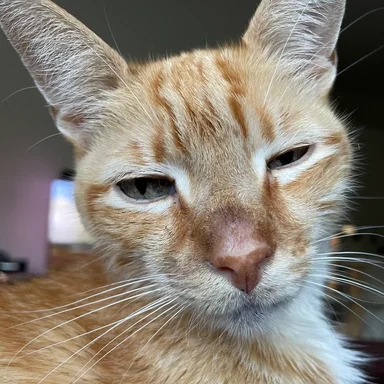 Got State Farm for insurance? Love to hear from you. | Rivian Forum ...